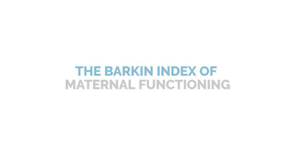 Scoring & Usage | Barkin Index of Maternal Functioning